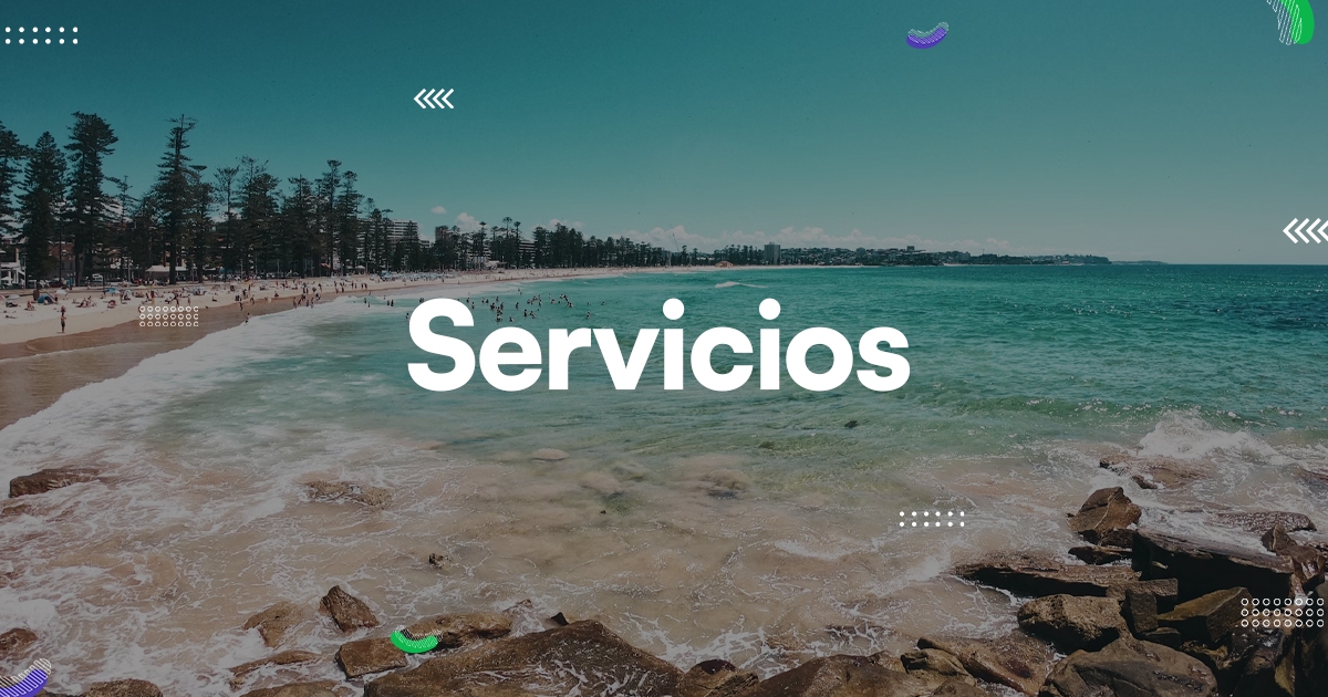 Servicios • We Move Experience